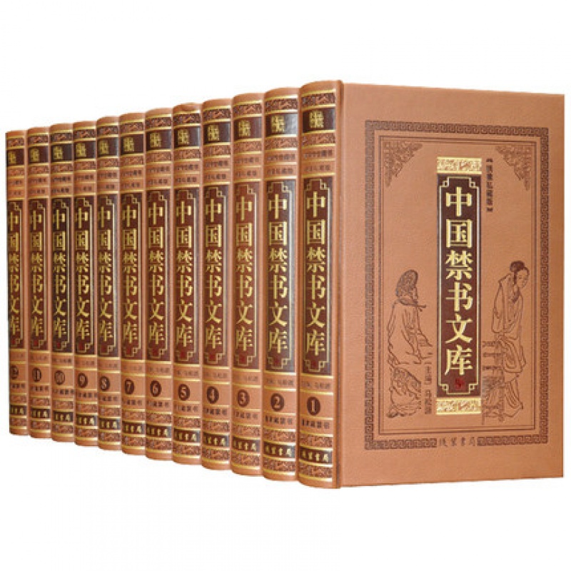 中国禁书文库 古代禁毁小说 精装全12卷 线装书局