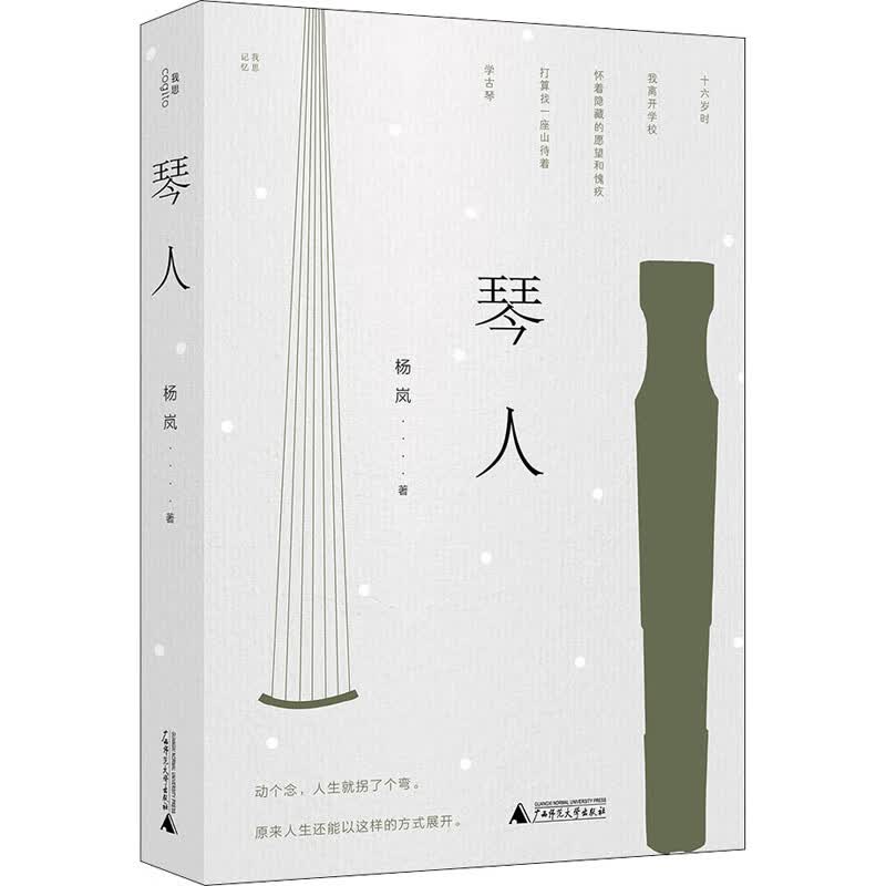 琴人 杨岚 音乐/提琴