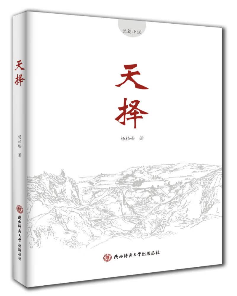 乡村小说天择