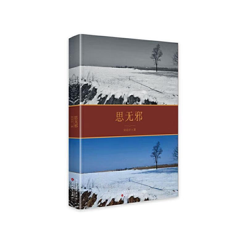 思无邪小说9787530683026