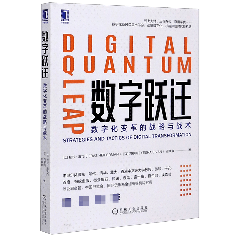 数字跃迁(数字化变革的战略与战术)