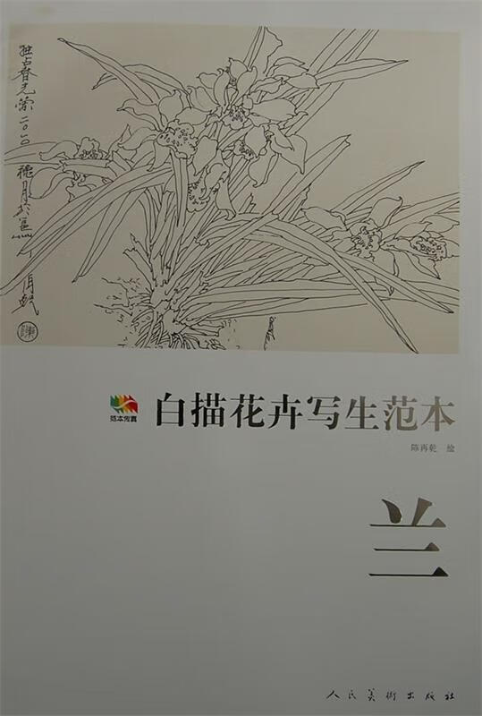 范本传真·白描花卉写生范本兰