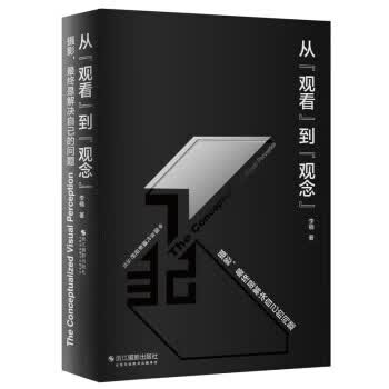 从观看到观念 李楠 著【书】
