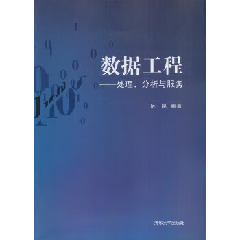 数据工程:处理、分析与服务