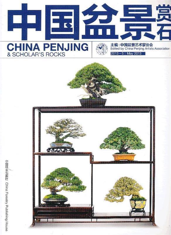 中国盆景赏石2013-5