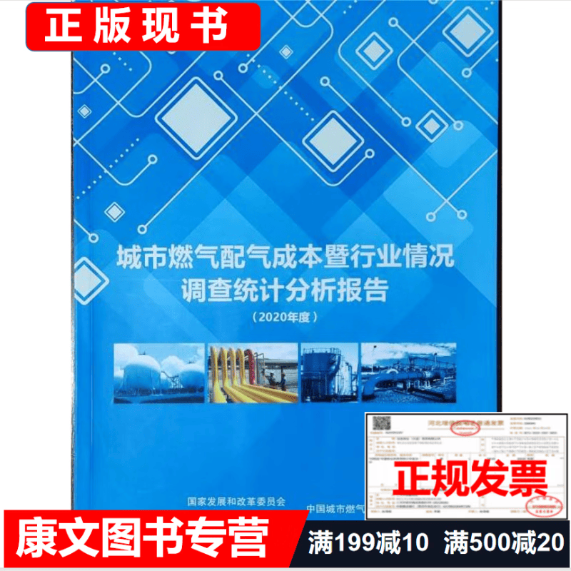 2020城市燃气配气调查统计分析报告成本暨行业情况