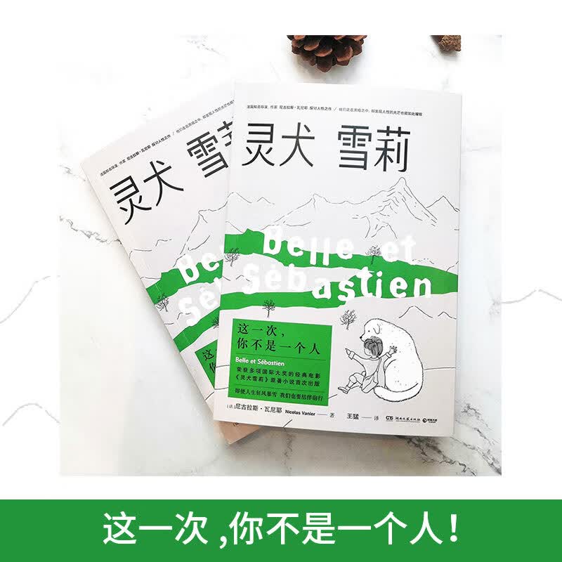 灵犬雪莉