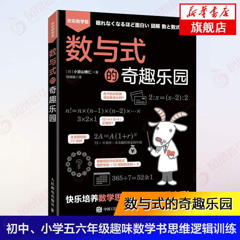 数与式的奇趣乐园 初中小学高年级五六年级趣味数学书思维逻辑训练 学习数学重难点本质 爱上科学公式之