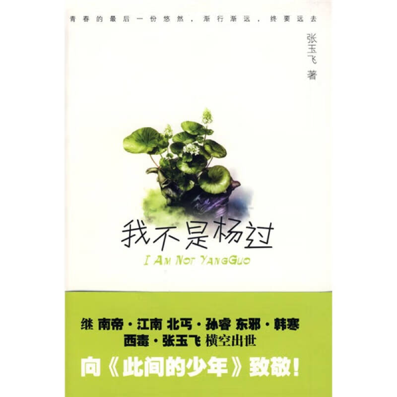 我不是杨过【特惠】