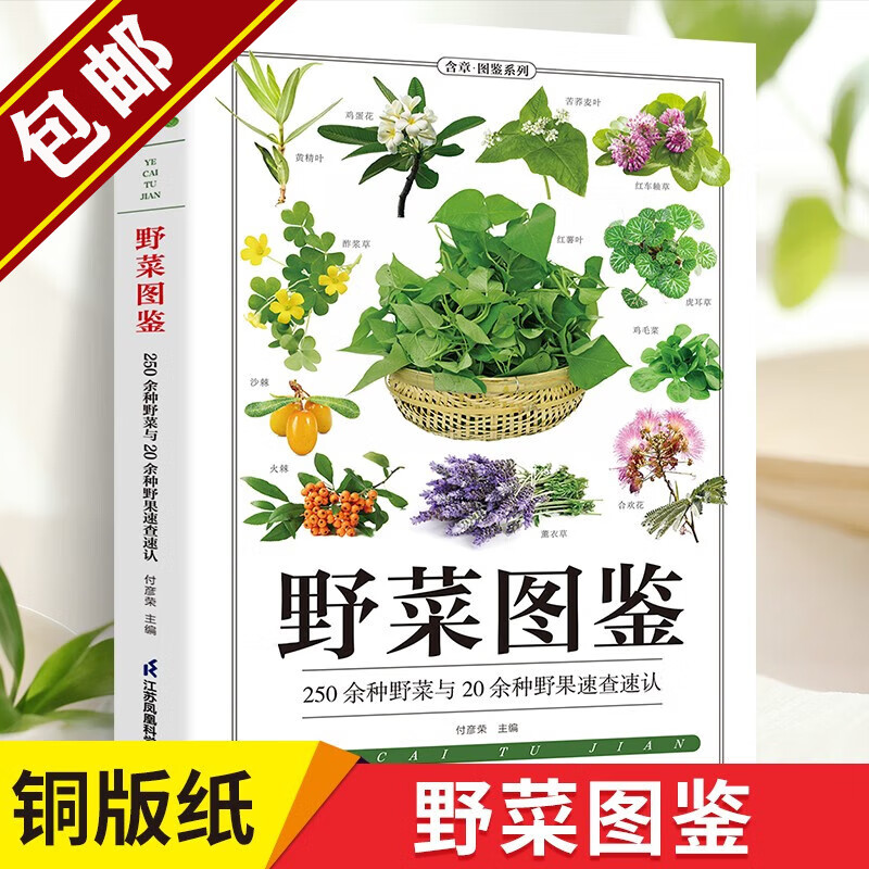 【包邮】含章·图鉴系列（植物图鉴） 野菜图鉴 250余种野菜与20余种野果速查速认