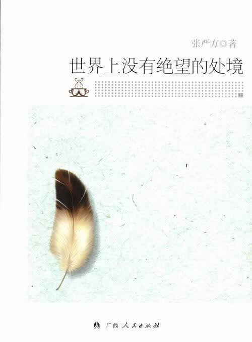 上没有绝望的处境 体育 运动 张严方著 广西人民出版社 9787219072080 书籍