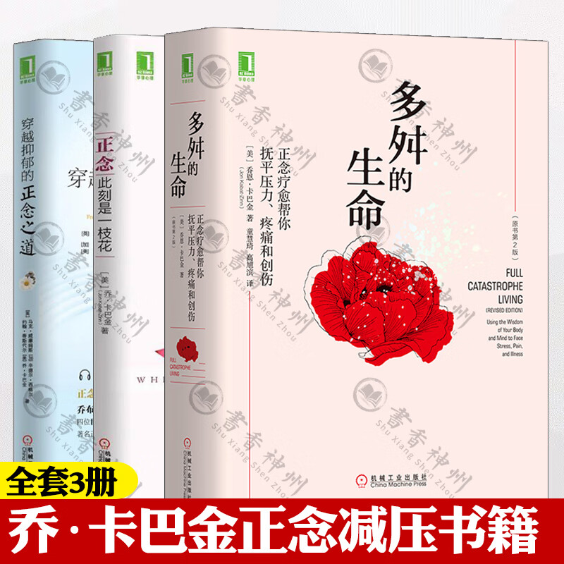 乔卡巴金正念减压书籍全3册正念此刻是一枝花+穿越抑郁的正念之道+多舛的生命正念疗愈帮你抚平压力疼痛和