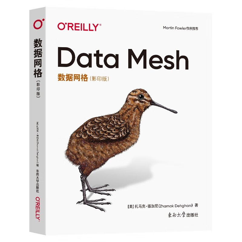 数据网格（Data Mesh 影印版）