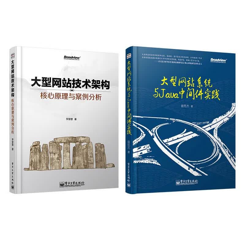 大型网站技术架构+大型网站系统与Java中间件实践 （共两册）