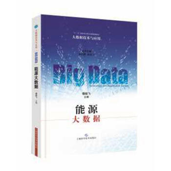 能源大数据 楼振飞【书】