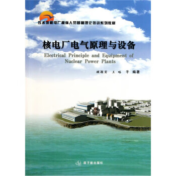 核电厂电气原理与设备 顾颖宾,王略
