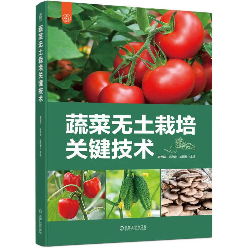 蔬菜无土栽培关键技术