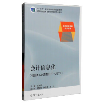 会计信息化