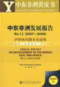 中东非洲发展报告No.11