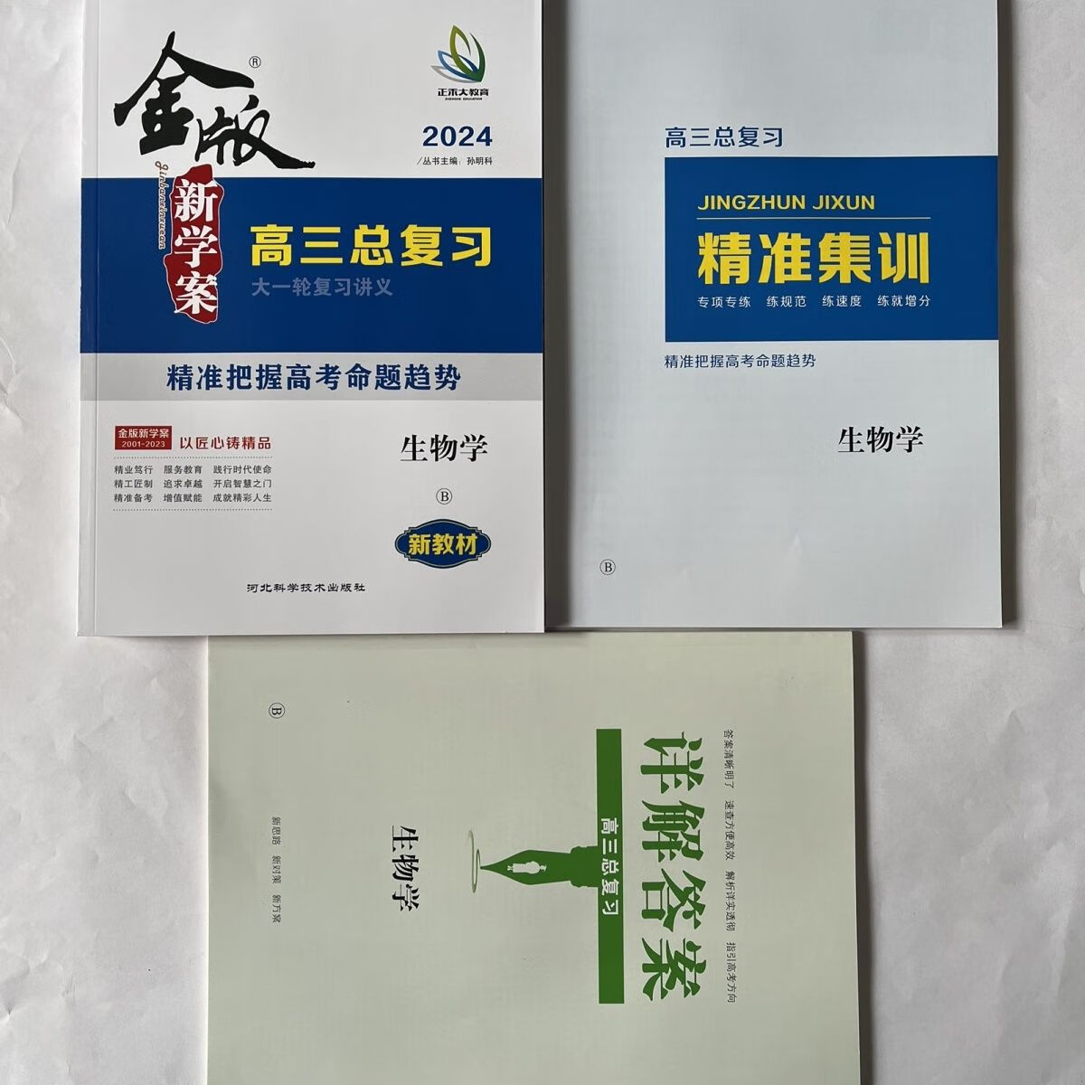 2024金版新学案高三总复习~学B 人教版 新 新