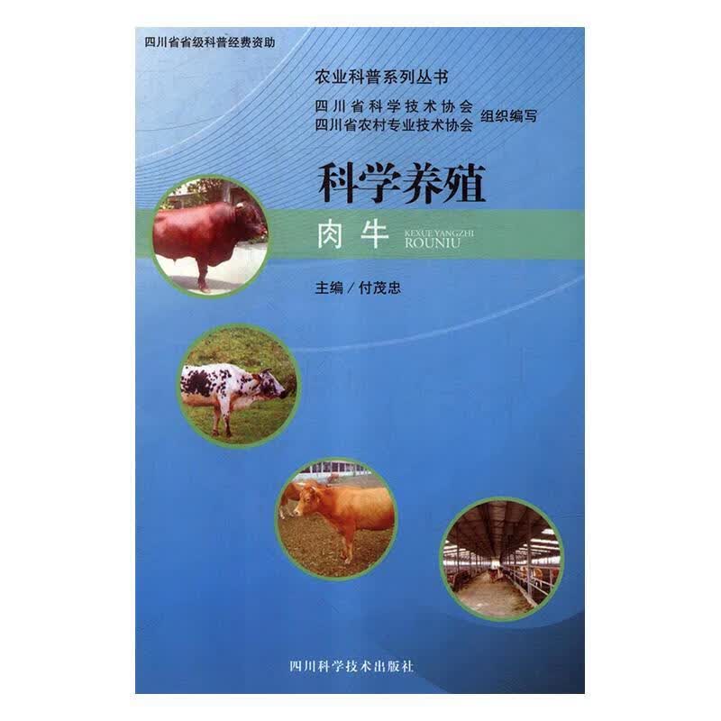 速发科学养殖肉牛