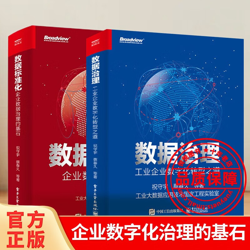 数据标准化+数据治理 企业数据治理的基石 电子工业出版社 数据标准化+数据治理