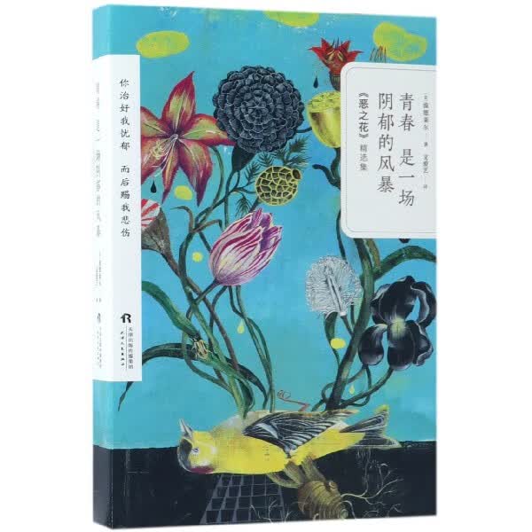 青春是一场阴郁的风暴