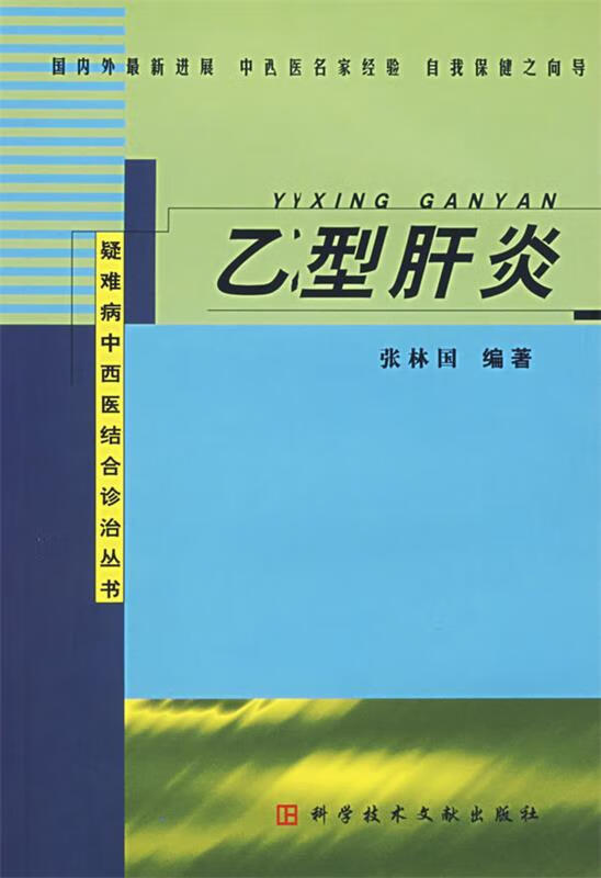 乙型肝炎【好书，下单速发】