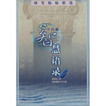 钢笔书法卡内基智慧语录 梁鼎光 著