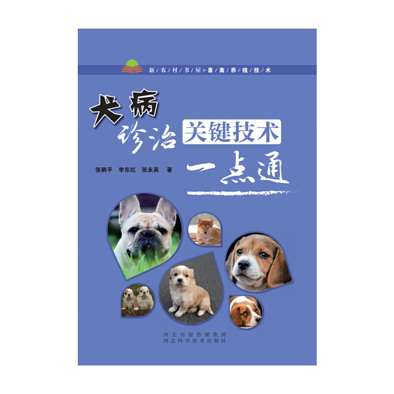 犬病诊治关键技术一点通