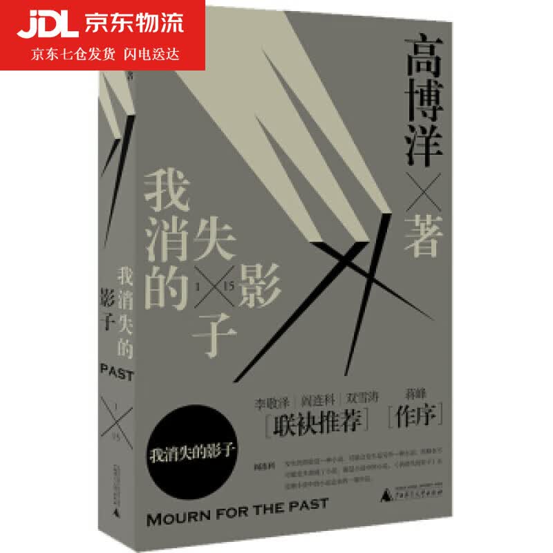 我消失的影子 高博洋 著 9787559833112