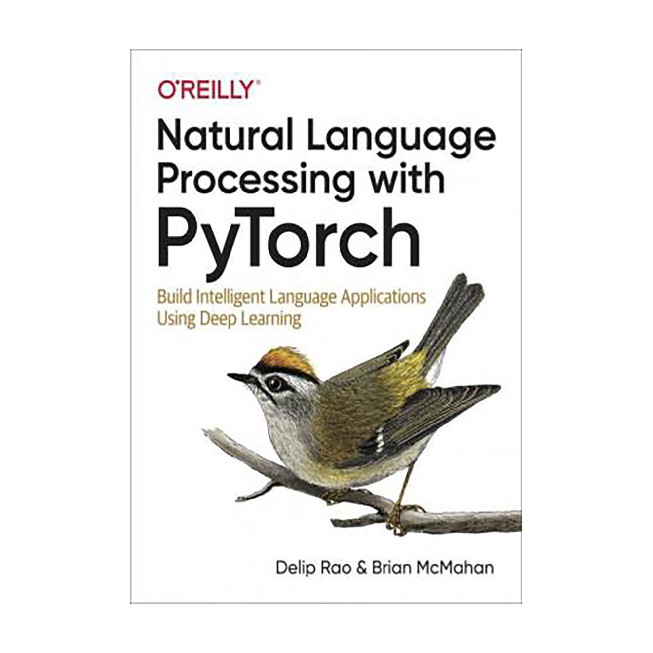 Natural Language Processing with PyTorch
