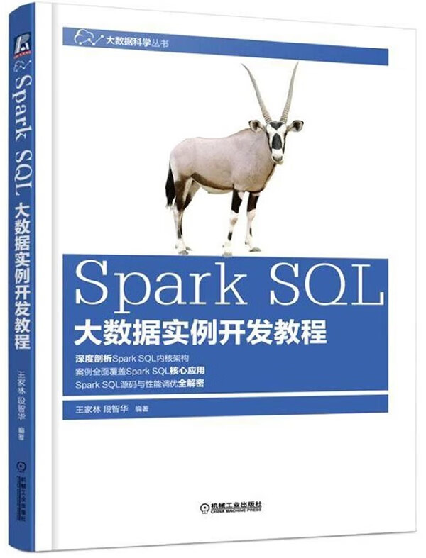 Spark SQL大数据实例开发教程/大数据科学丛书