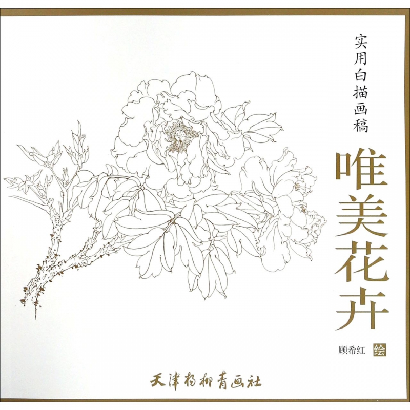 唯美花卉(实用白描画稿)