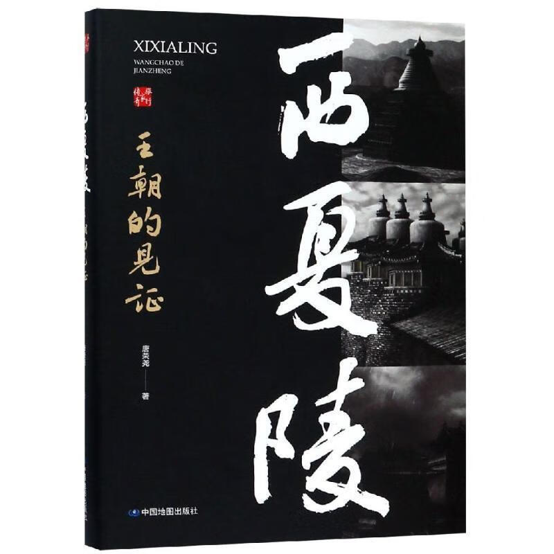 西夏陵王朝的见证