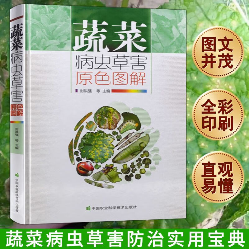 蔬菜病虫草害色图解高效栽培种植技术大全教程书籍病虫害常见疾病预防蔬菜嫁接技艺大棚播籽种植技术书籍