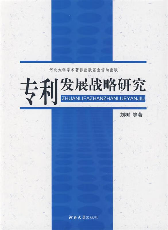 专利发展战略研究
