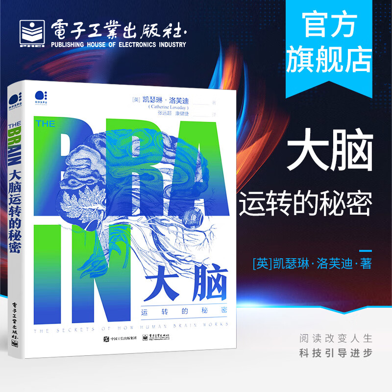 大脑运转的秘密