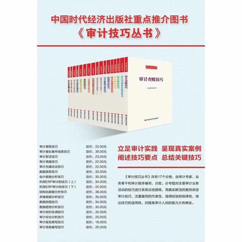 《审计技巧丛书》全套