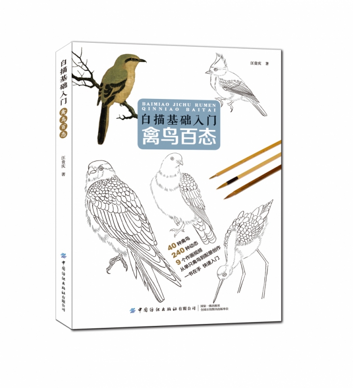 白描基础入门(禽鸟百态)