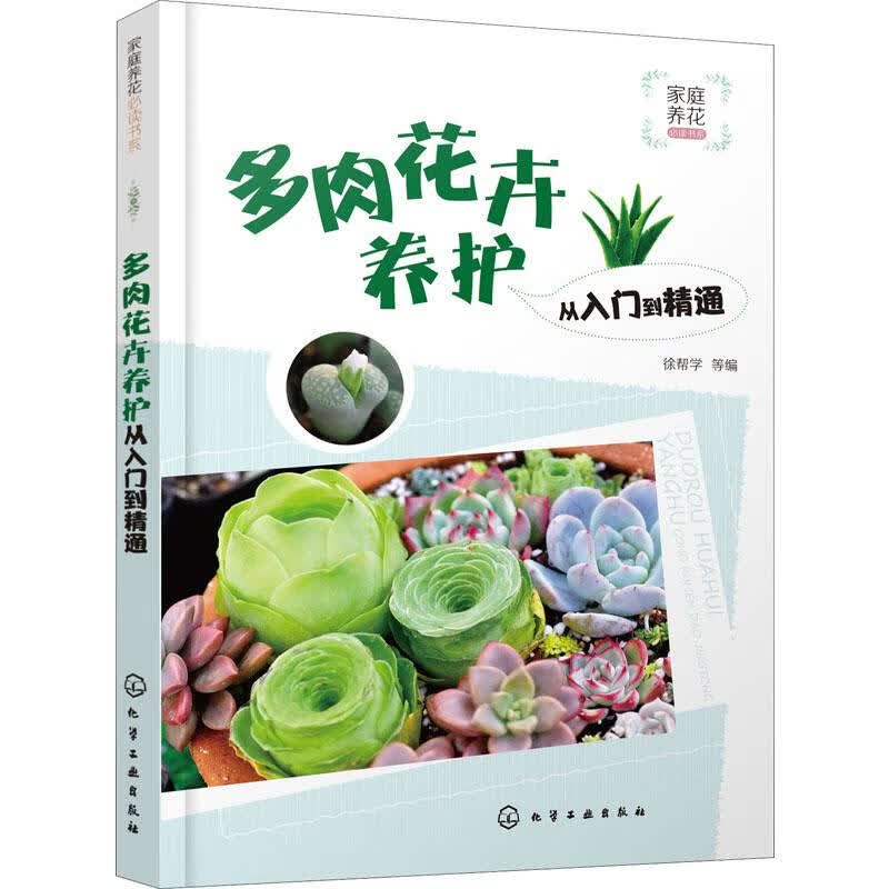 多肉花卉养护从入门到精通