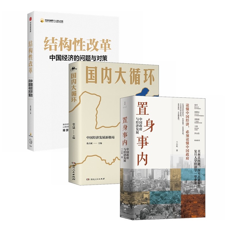结构性改革+置身事内+国内大循环（套装3册）