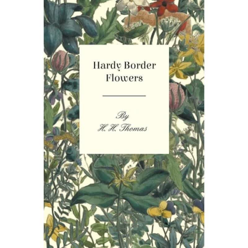 Hardy Border Flowers
