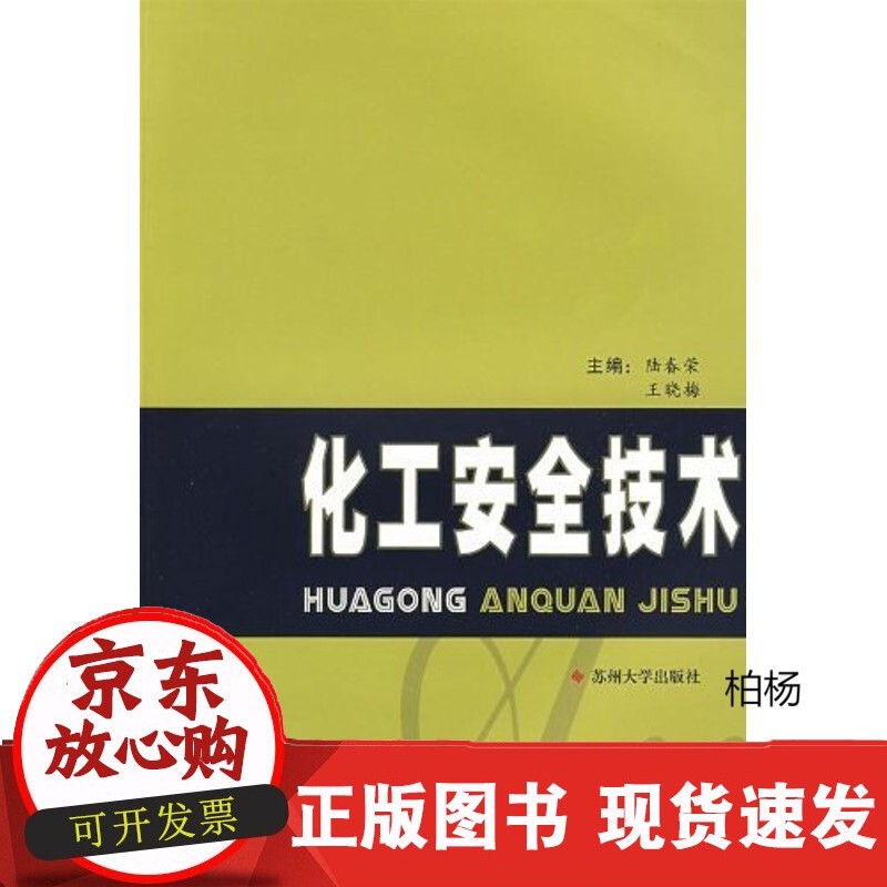 化工安全技术 9787811372779