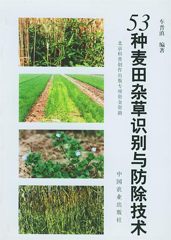 53种麦田杂草识别与防除技术