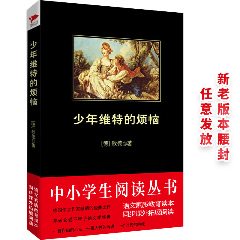 黑皮系列课外阅读：少年维特的烦恼（恩格斯赞誉其“建立了一个伟大的批判的功绩”）小学阅读