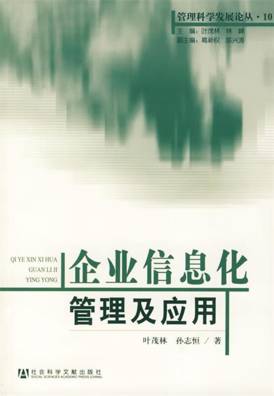 企业信息化管理及应用—管理科学发展论丛