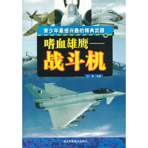 嗜血雄鹰 战斗机【精选】