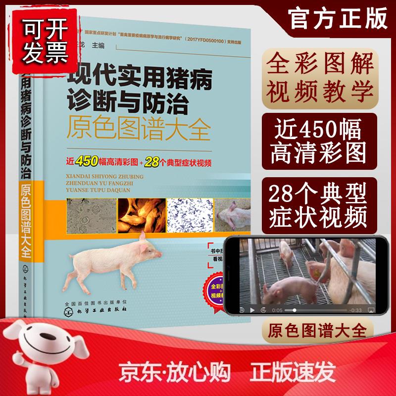 猪病诊断图鉴原彩色诊治图谱与防治安全用药母猪仔猪养殖兽医手册猪病学第11版治疗养猪技术书籍大全猪场产