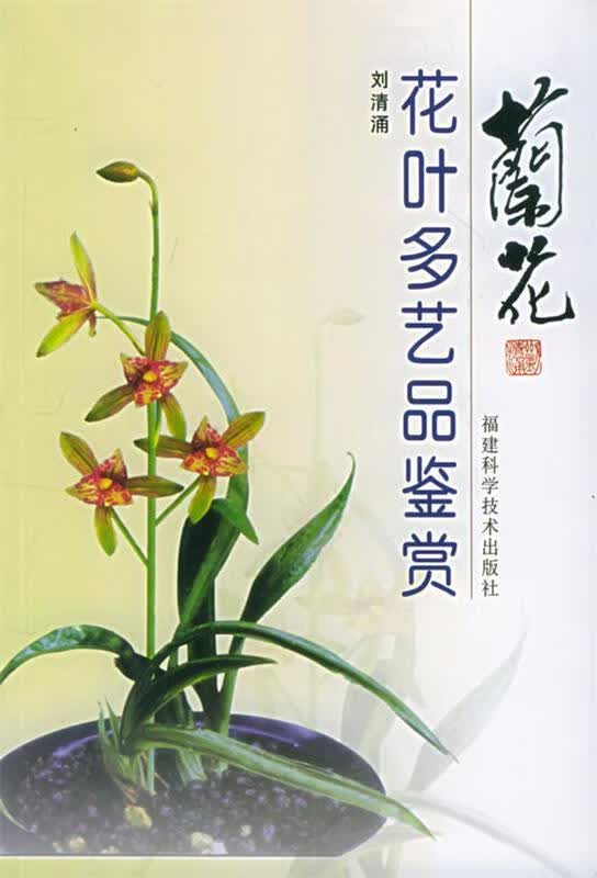 兰花花叶多艺品鉴赏